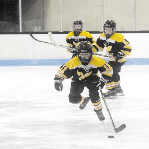 Skating up ice with support | News, Sports, Jobs - The Mining Gazette